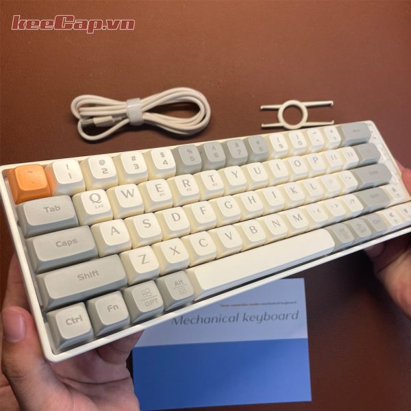 Bàn phím cơ Dareu EK810 white retro (3 Mode – 104 key– Red switch) - KeeCap