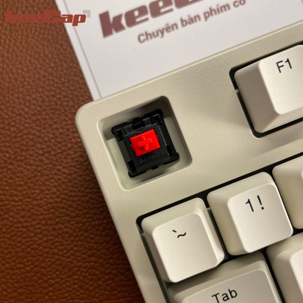 Bàn phím cơ Dareu EK810 white retro (3 Mode – 104 key– Red switch) - KeeCap